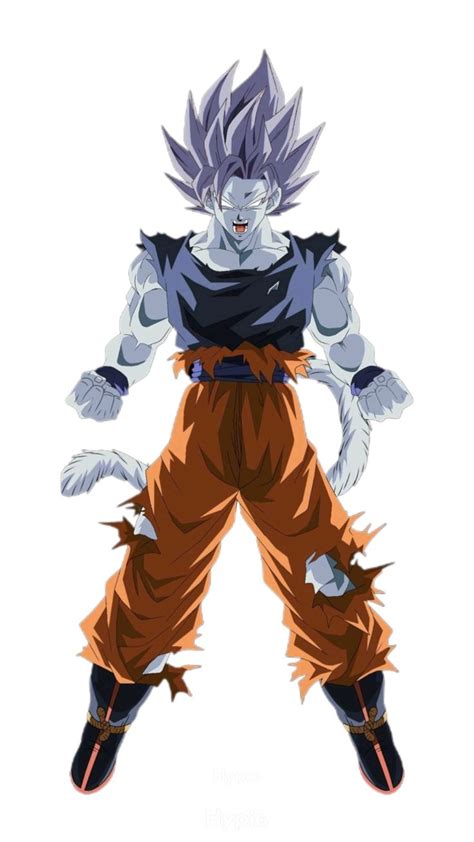 Goku Ssj 10 Dbs