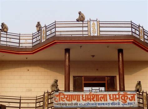 Mehandipur Balaji Temple Shree Hanuman Shrine In Dausa Rajasthan