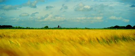 Utopia Life Of Brian