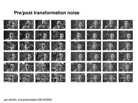 Transformation Invariant Clustering Using The Em Algorithm Ppt Download