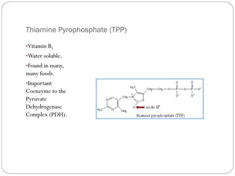 Ppt The Role Of The Vitamin Thiamine Powerpoint Presentation Free