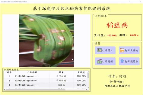基于yolov8深度学习的水稻叶片病害智能诊断系统【python源码pyqt5界面数据集训练代码】深度学习实战 阿里云开发者社区