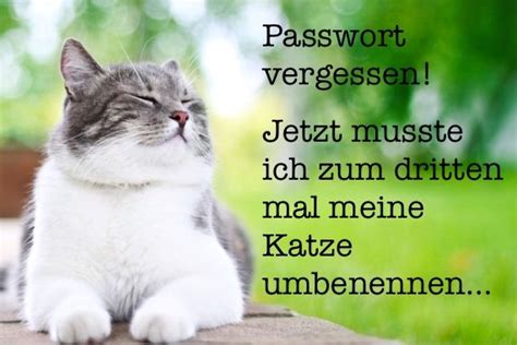 Ich mache es mir gerne so einfach wie möglich So verwendete ich für alle Logins und Webseiten