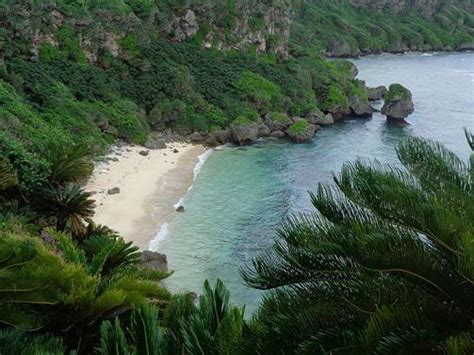 沖永良部島エコツアーネット 体験・アクティビティ 【公式】沖永良部島観光サイト「おきのえらぶ島の旅」