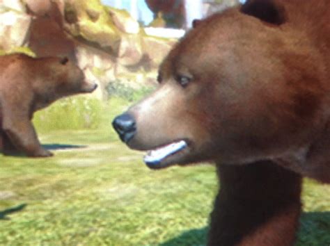 Gobi Bear Zoo Tycoon Wiki Fandom