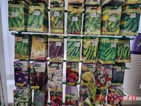 Какие семена не надо замачивать ключевые советы для садоводов Многи Сад и огород Постила
