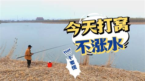 游钓中国9第06集今天打一个不涨水的窝 高清1080P在线观看平台 腾讯视频