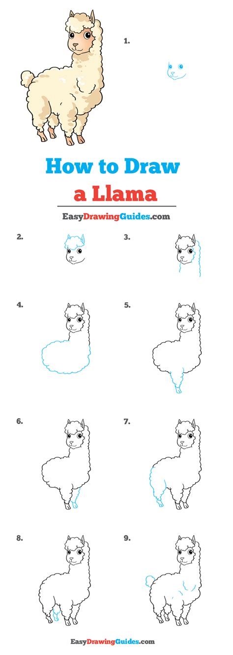 How To Draw A Llama Really Easy Drawing Tutorial