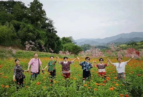 80的人群进入田园养生养老中医康养模式生活乡村