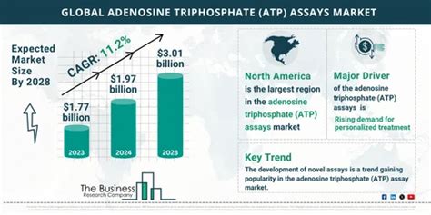 Global Adenosine Triphosphate Atp Assays Market Size And Growth