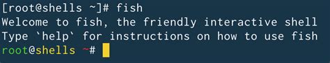 Los mejores shells de Linux y cómo instalarlos Bigstep Blog PFCONA