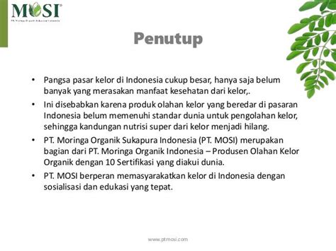 Pangsa Pasar Kelor Di Indonesia Ppt
