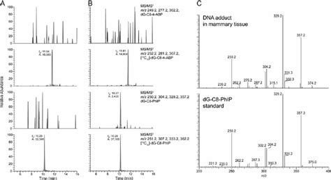 LC ESI MS MS 3 Reconstructed Ion Chromatograms Of A Human Mammary Download Scientific