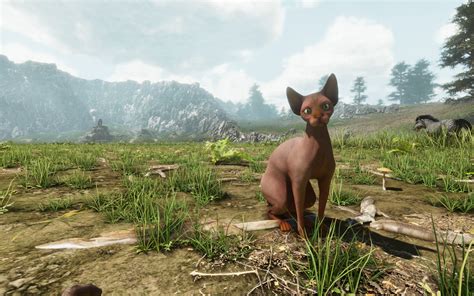 Sphynx Cat Cosmetic Skin Gallery Ark Survival Ascended Mods