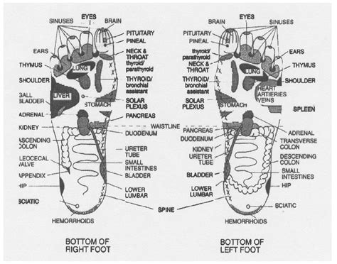 Reflexology Learn Self Healing Techniques Online