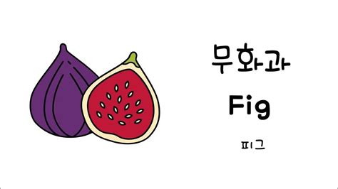 달콤한 과일과 함께 하는 즐거운 영어 단어 학습 Youtube