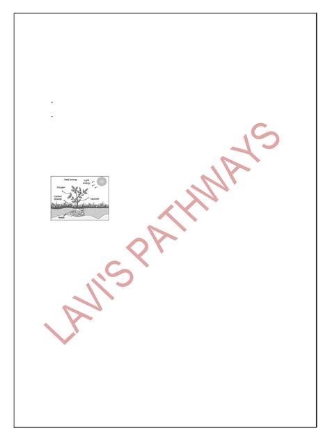 Life Processes Assignment Pdf Digestion Cellular Respiration
