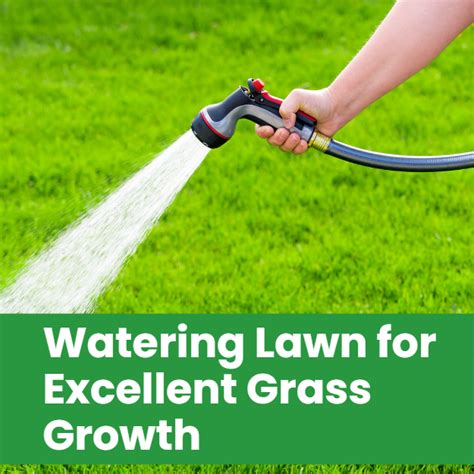 Watering Lawn For Excellent Grass Growth Landzie
