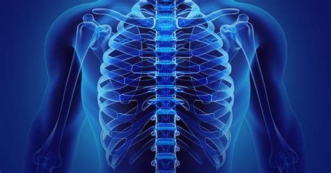 Thoracic Outlet Decompression Surgery Medstar Health