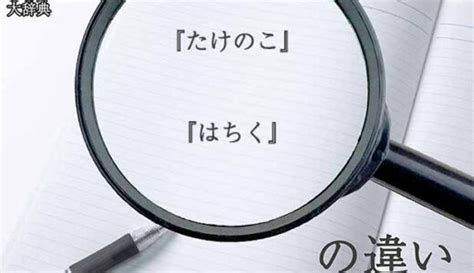 『皮膜』と『被膜』の意味と違いとは？分かりやすく講義 まるまる方大辞典