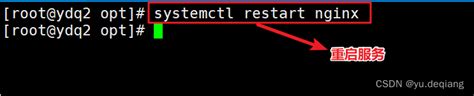 Nginx网站服务安装nginx、平滑升级nginx、nginx各种访问配置nginx122和124区别 Csdn博客