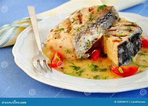 Grilled Fish Fillet Stock Image Image Of Food Lose 22039019