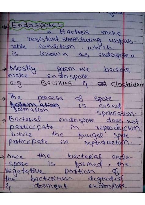 Solution Endospore Structure Position And Stability Studypool