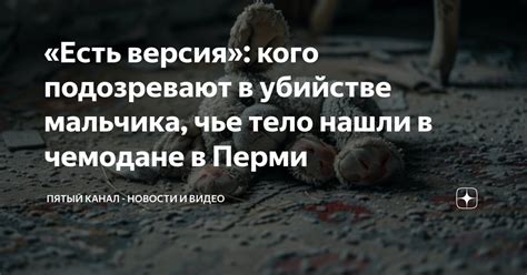 «Есть версия кого подозревают в убийстве мальчика чье тело нашли в