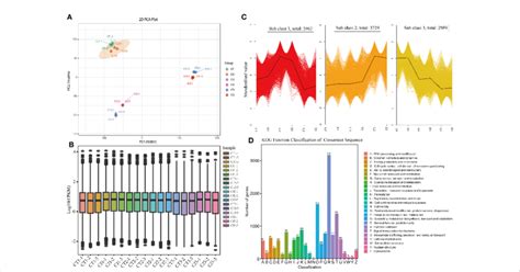 Transcriptome Sequencing And Functional Analysis Of Degs In Ct And Cj