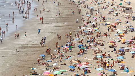 Sexmøder Er Ved At ødelægge Klitter På Gran Canaria Bt Udland Bt Dk