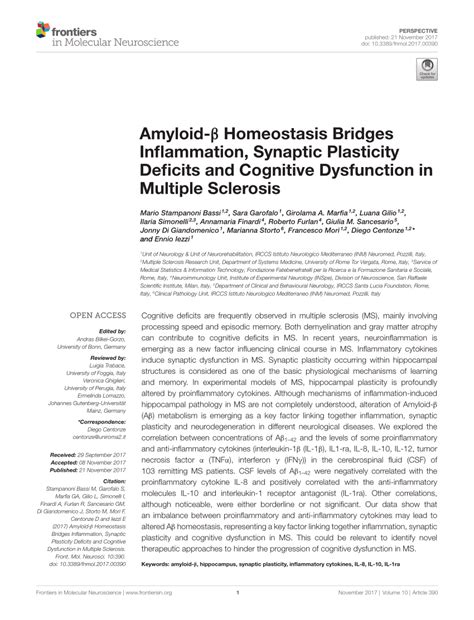 Pdf Amyloid β Homeostasis Bridges Inflammation Synaptic Plasticity