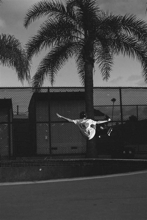 Macfox X1 Thrill Seekers