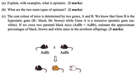 Solved A Explain With Examples What Is Epistasis 2