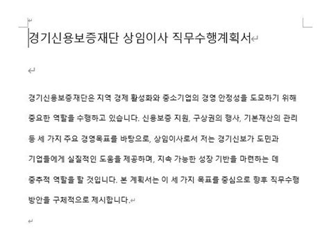 신용보증재단 최종합격 직무수행계획서 — 촌촌지식
