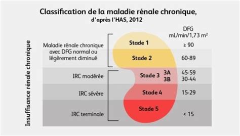 Insuffisance Rénale Et Vinaigre De Cidre Traitement Naturel