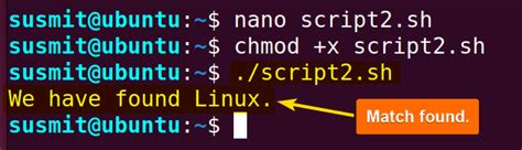 Using Grep In If Statement In Bash Cases LinuxSimply
