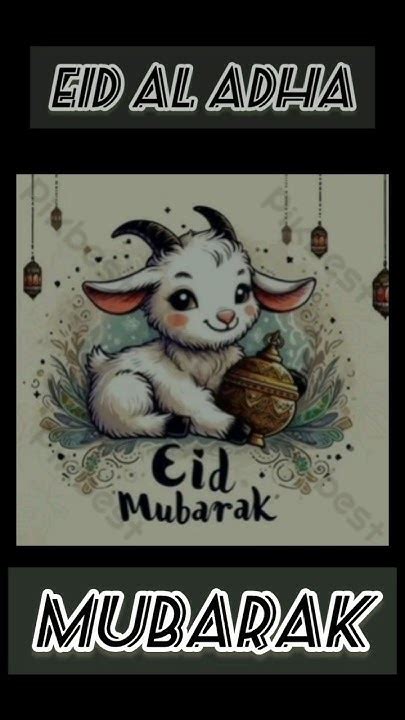 Eid Ul Ajha Mubarak Hadis Sura Eidmubarak Information Youtube