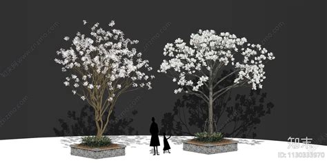 玉兰su模型下载【id1130333970】知末su模型网 玉兰su模型下载【id1130333970】知末su模型网