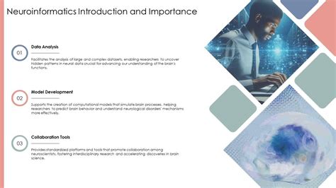 Neuroinformatics Introduction And Importance Neuroinformatics Ppt Powerpoint St Ai Ss Ppt