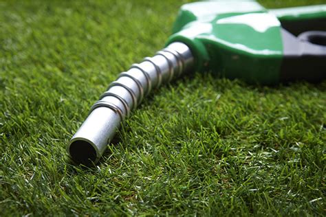 지구온난화의 위기 생물연료로 해결할 수 있을까