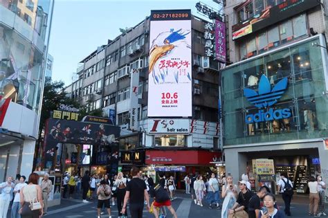 宮崎駿電影《蒼鷺與少年》宣傳逆向操作成話題！專訪吉卜力推手鈴木敏夫