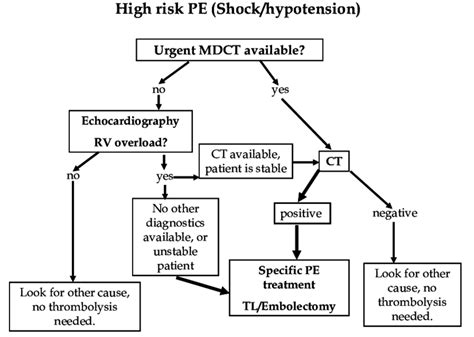 The Esc 2008 Guideline Recommended Diagnostic Steps For High Risk Pe