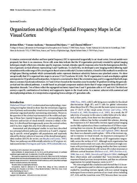 Pdf Organization And Origin Of Spatial Frequency Maps In Cat Visual Cortex