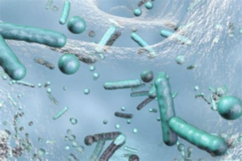 Hoe Voorkomt U Contaminatie Met Biofilm In Uw Cleanroom Tru Global
