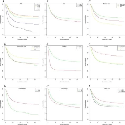 Roc Curves Roc Curve Analyses Were Generated To Test The Performance Download Scientific
