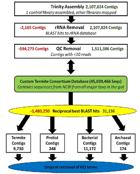 Workflow Of Metatranscriptome Annotation Red Numbers On The Left At