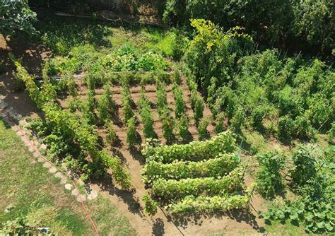 Зелени острови никнат в софийските университети Площад Славейков