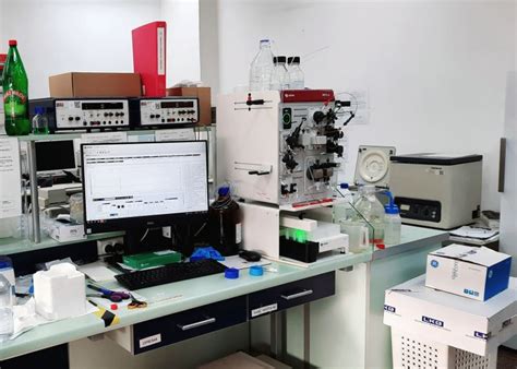 Combos2 Aleksandra Kukhareva