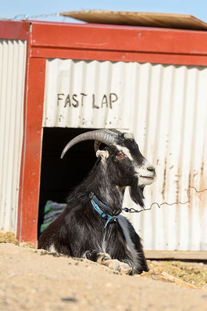 Jesse White Photography Mvds 4 5 6