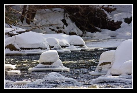 Isinglass River Shutterbug